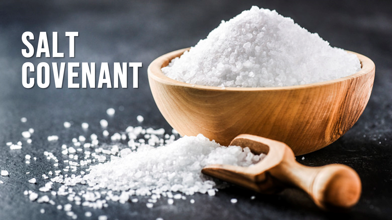 Salt Covenant - Part 2 - Crossroads