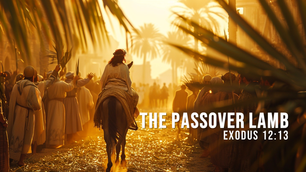 The Passover Lamb - Crossroads